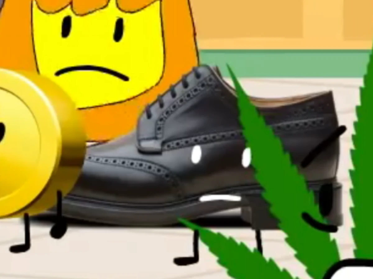 Shoe | Bfb but broken Wiki | Fandom