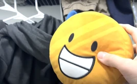 Coiny | BFB Plush Battle Wiki | Fandom