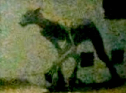 New Cryptid Article | Fandom