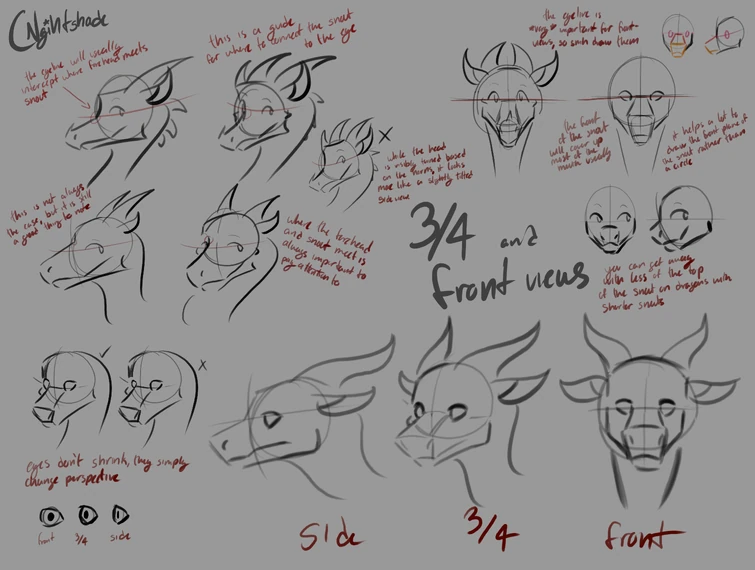 Anyone got tips on drawing frontward facing dragons? | Fandom