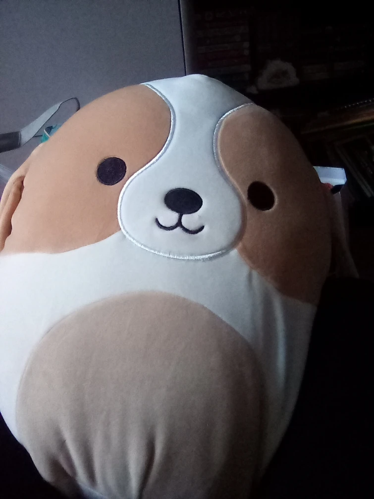 AUGHHHHH THIS IS WAGT I GOT 😽 | Fandom