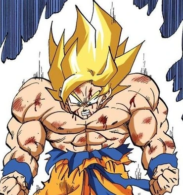 Best battle damaged Goku? | Fandom