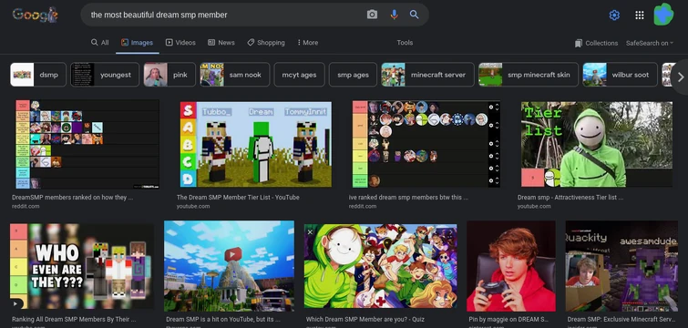 the most beautiful DSMP member is............................. | Fandom