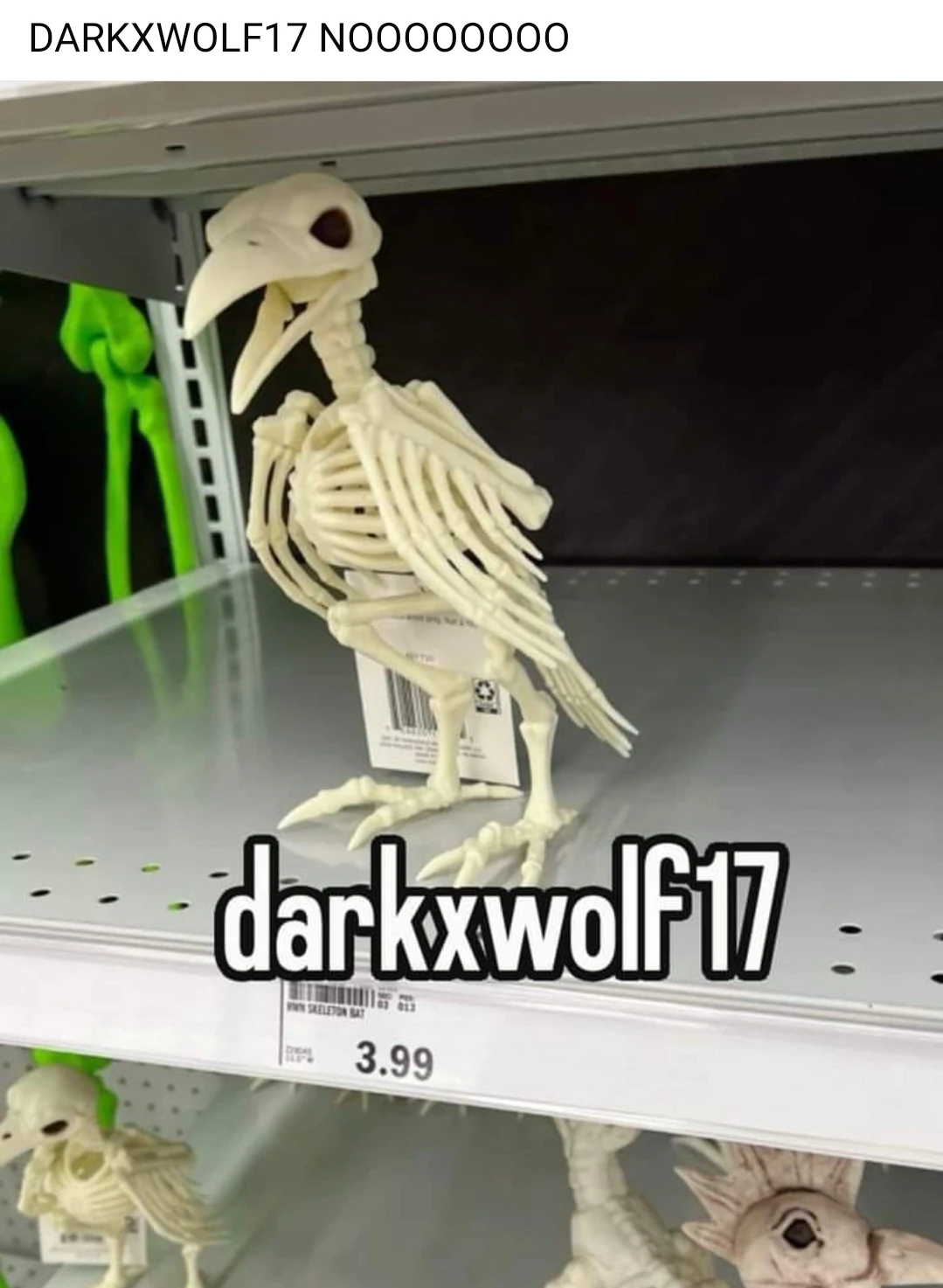 Darkxwolf17 NOOOOO- | Fandom