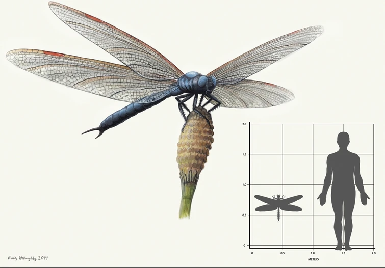 Prehistoric insect spinwheel! | Fandom