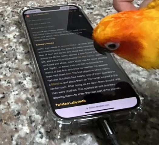 *cutely helds the bird in hostage to look at it* | Fandom