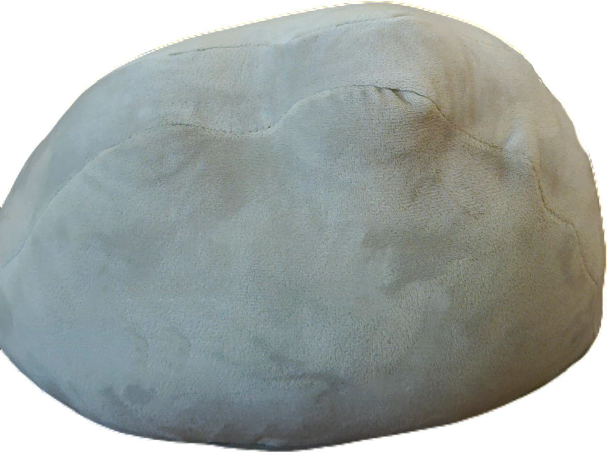 Assets/（plushbodies） | Bfdi assets Wiki | Fandom