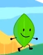Leafy | BFDI: Branches Wiki | Fandom