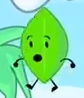 Leafy | BFDI: Branches Wiki | Fandom