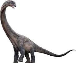 Dreadnoughtus | BFDI Dinosaurs Wiki | Fandom