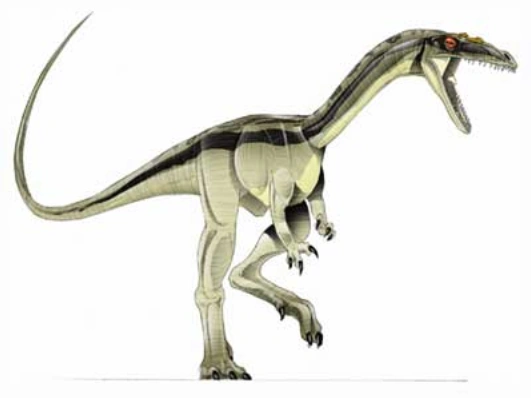Procompsognathus | BFDI Dinosaurs Wiki | Fandom