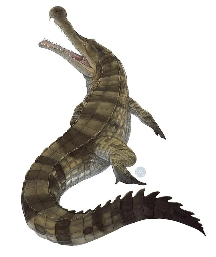 Sarcosuchus | BFDI Dinosaurs Wiki | Fandom