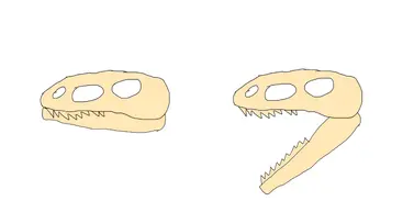 Datanglong | BFDI Dinosaurs Wiki | Fandom