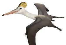 Pterodactylus | BFDI Dinosaurs Wiki | Fandom