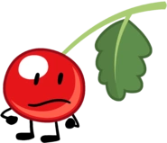 Redcurrant | BFDI Recommended Characters Wiki | Fandom