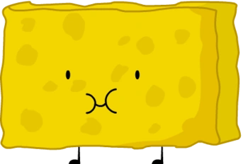 Spongette | BFDI Recommended Characters Wiki | Fandom