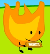 FCBA gallery | BFDIA5B Wiki | Fandom