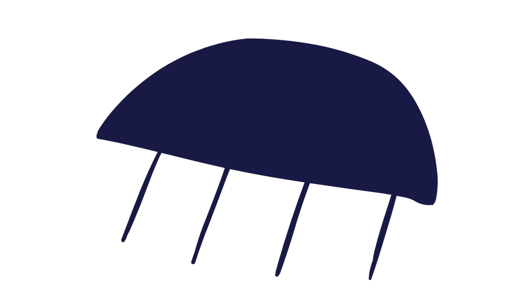 Bug | BFEND Wiki | Fandom