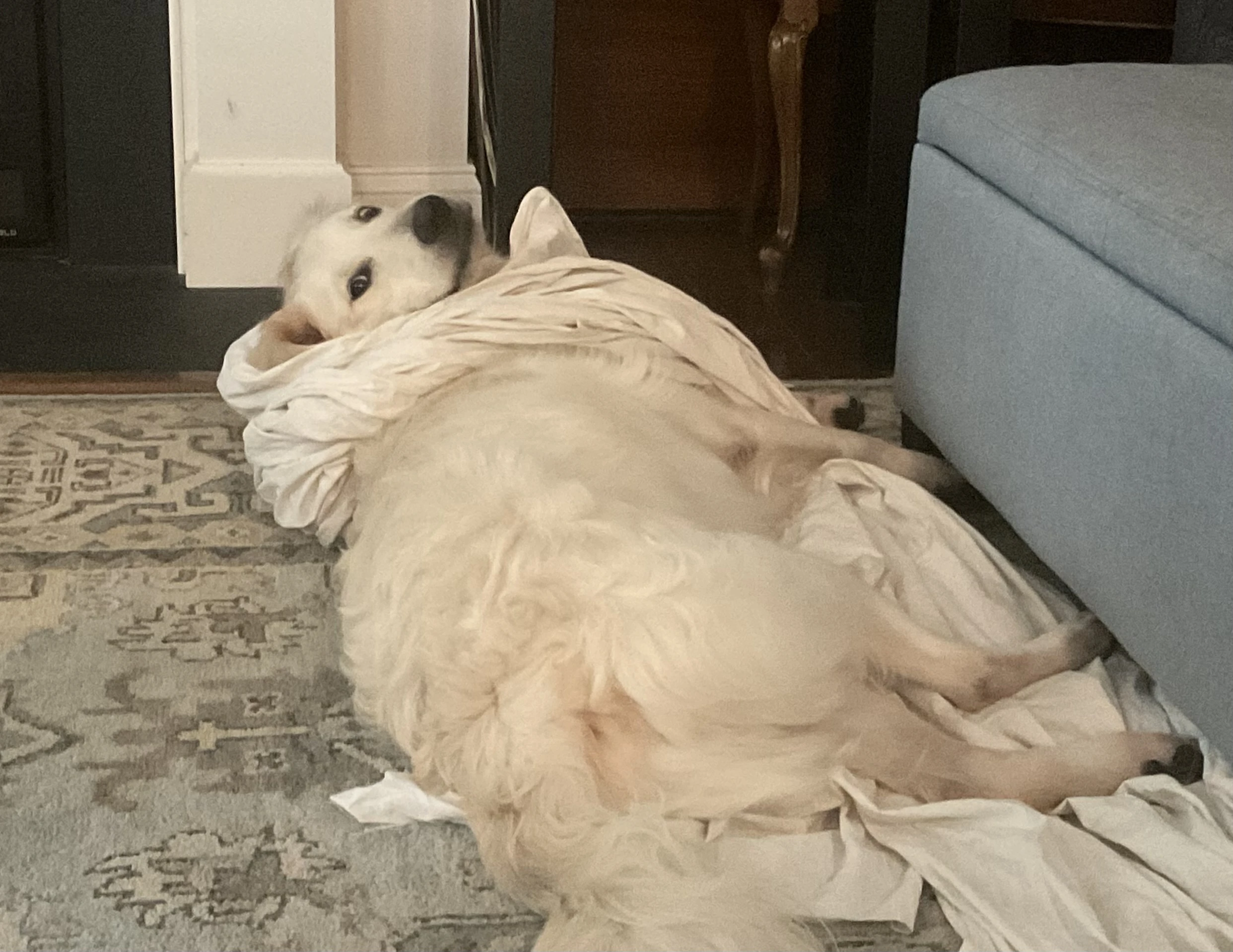 More WIPs :) | Fandom