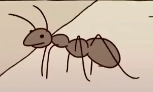 The ant | BFNT REBORN Wiki | Fandom