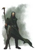 Shadow Adept | Baldur's gate the sword coast chronicles Wiki | Fandom