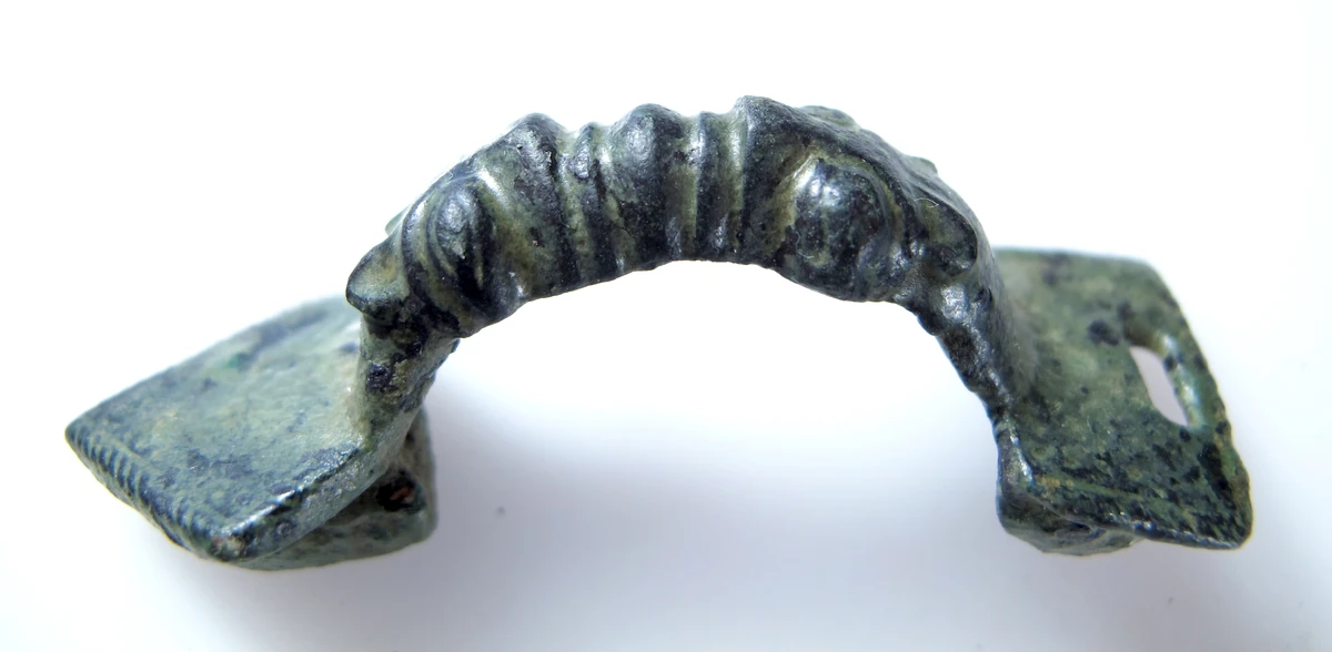 Twisty | Bar Harbor Treasure Hunters Guild Wiki | Fandom