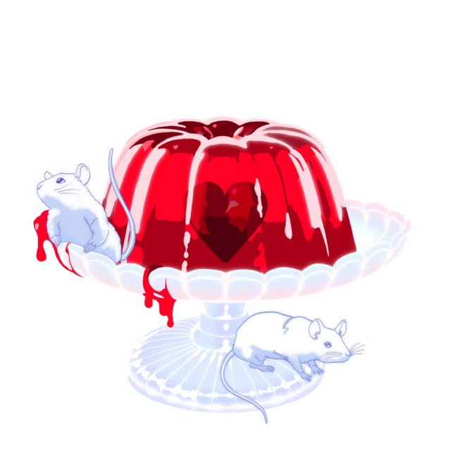 Bam Yang Gang | BIBI Wiki | Fandom