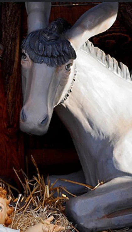 Donkey | Bible Wiki | Fandom