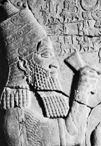 Esarhaddon | Bible Wiki | Fandom