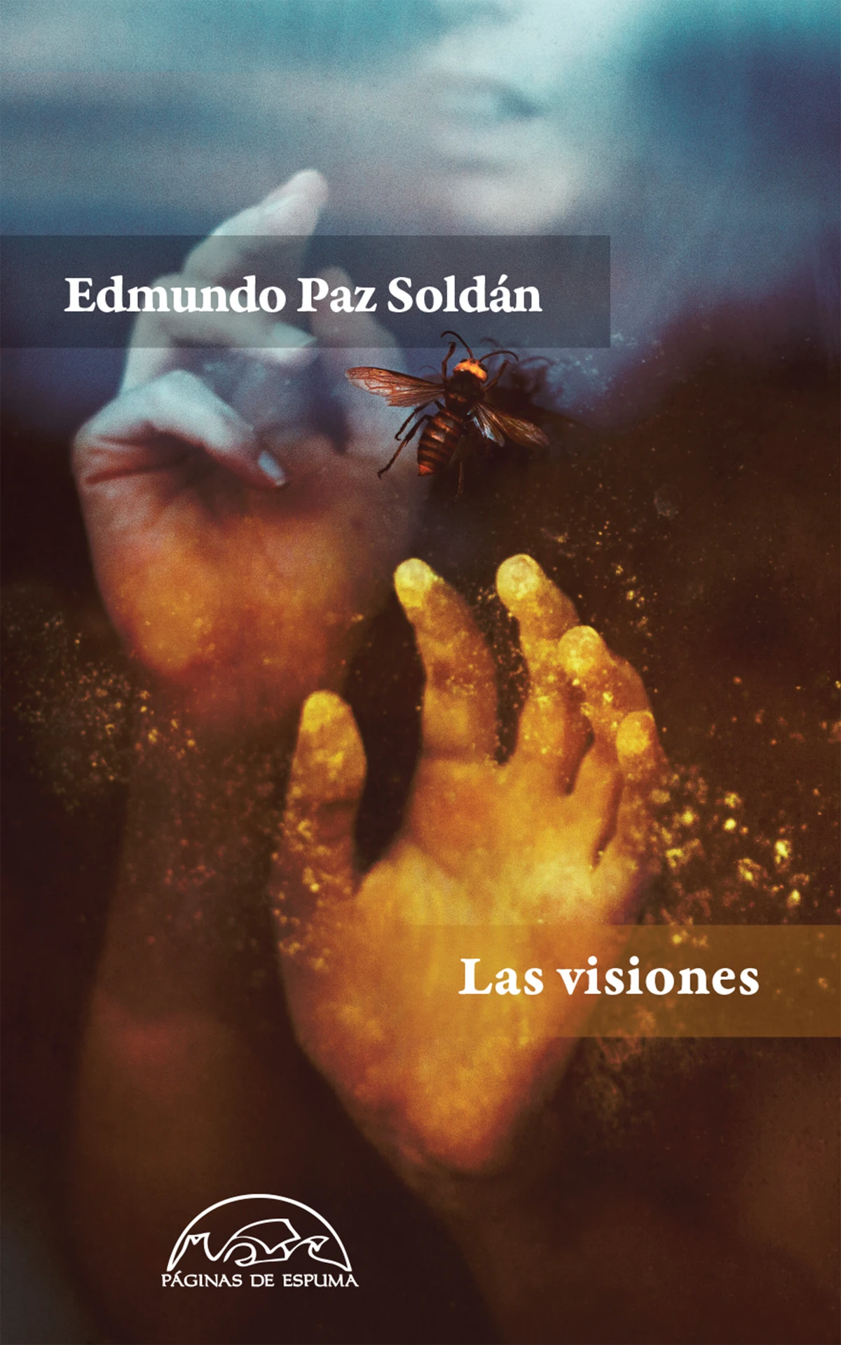 Las visiones | Biblioteca Virtual Fandom | Fandom