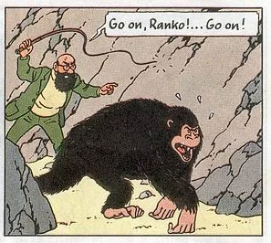 Ranko | Biblioteca Virtual Fandom | Fandom