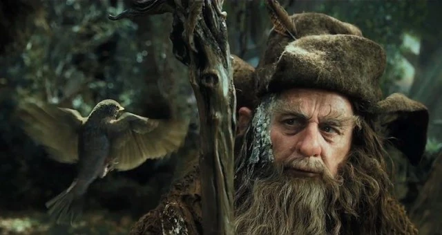 Radagast | Wiki Biblioteca de la Tierra Media | Fandom