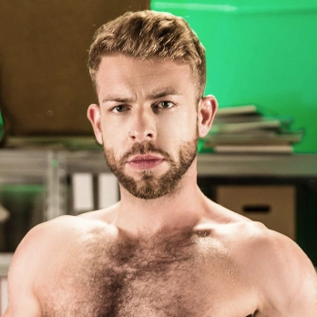 Gabriel Phoenix | BIDOS Wiki | Fandom