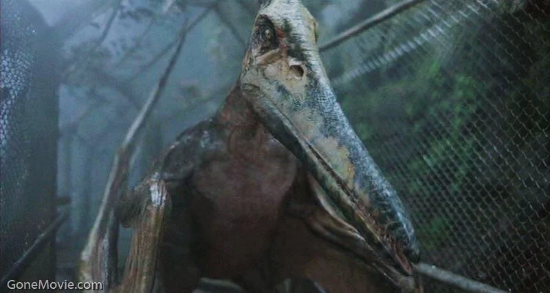 Pteranodons (Jurassic Park III) | Big Bad Wiki | Fandom
