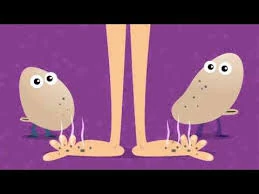 Noses/Transcript | Big block singsong Wiki | Fandom