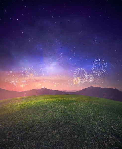 Big Brother Longterm Interactive Wiki | Fandom