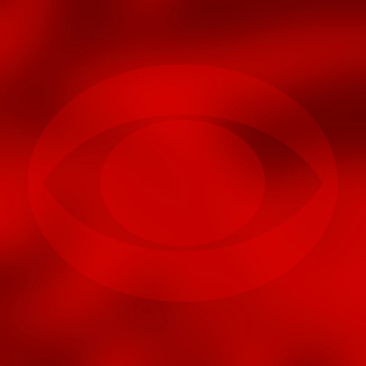 Big Brother 4 (US) | Big Brother: The Final Vote Wiki | Fandom
