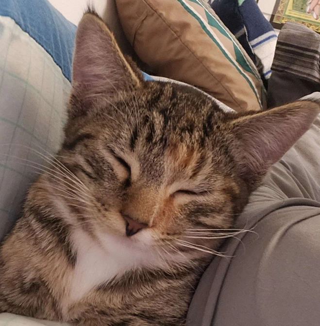 Becca | Big Brother World Wiki | Fandom