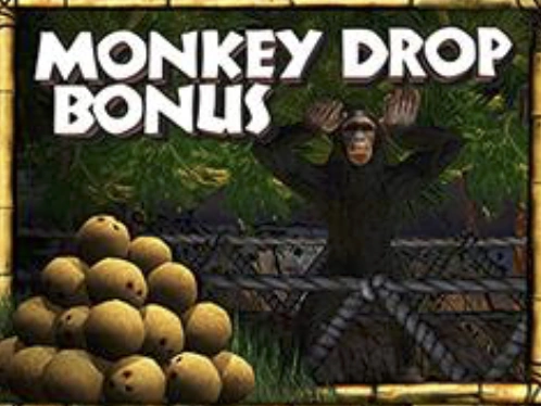 Monkey Drop Bonus | Big Buck Safari Wiki | Fandom