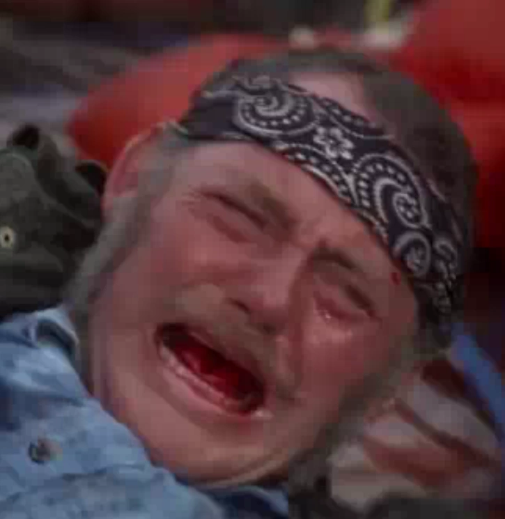 Quint | Big Happy Family Wiki | Fandom