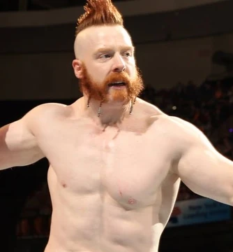 Sheamus With His Family