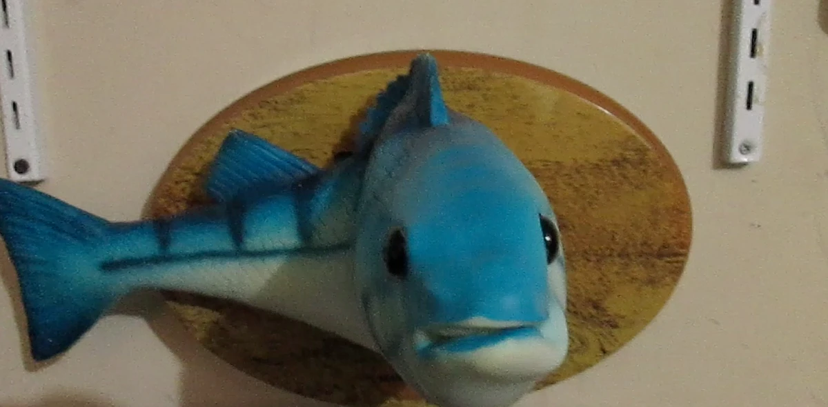 Frankie the fish | Big mouth Billy Bass Wiki | Fandom