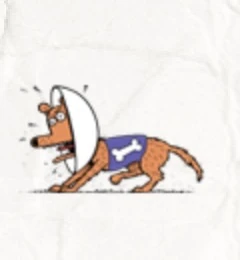 Spitsy Eustis | Big Nate Book Series Wiki | Fandom