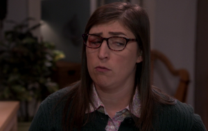 The Sibling Realignment | The Big Bang Theory Wiki | Fandom