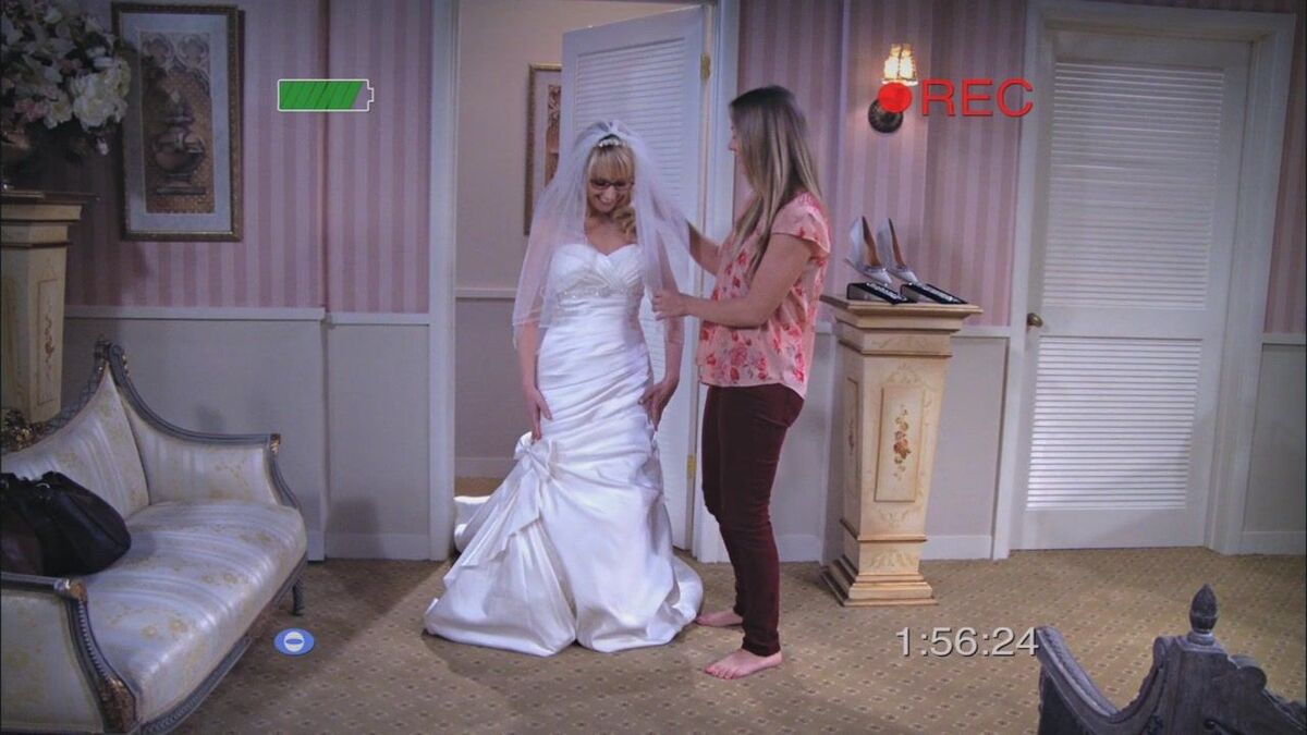 Bernadette Rostenkowski-Wolowitz/Gallery - Female Friends | The Big ...