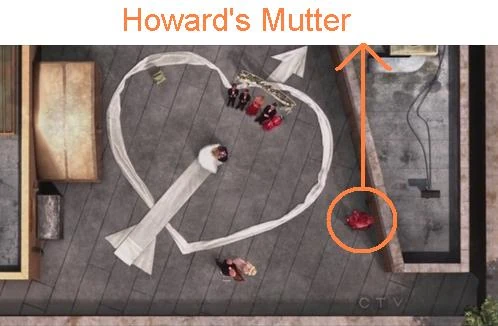 Debbie Wolowitz | Big Bang Theory Wiki | Fandom