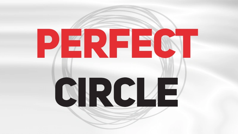 Perfect Circle | Big Brother Inc. Wiki | Fandom