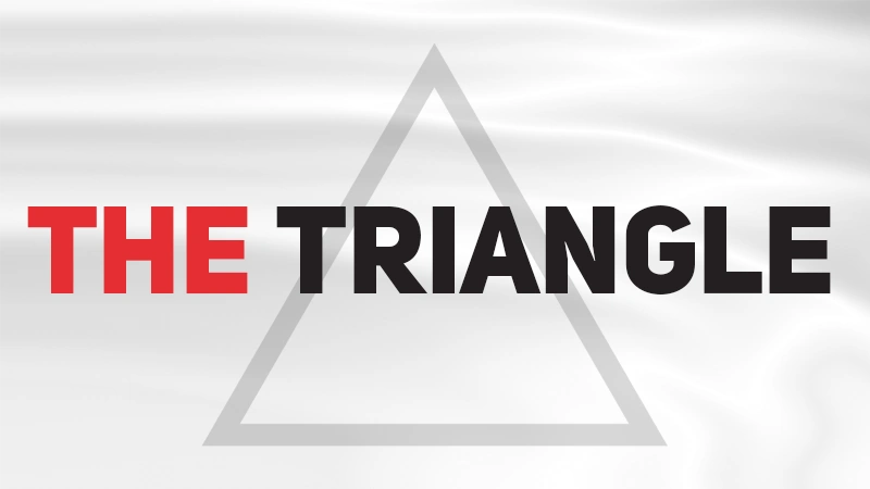The Triangle | Big Brother Inc. Wiki | Fandom