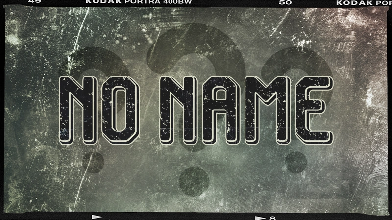 No Name | Big Brother Inc. Wiki | Fandom