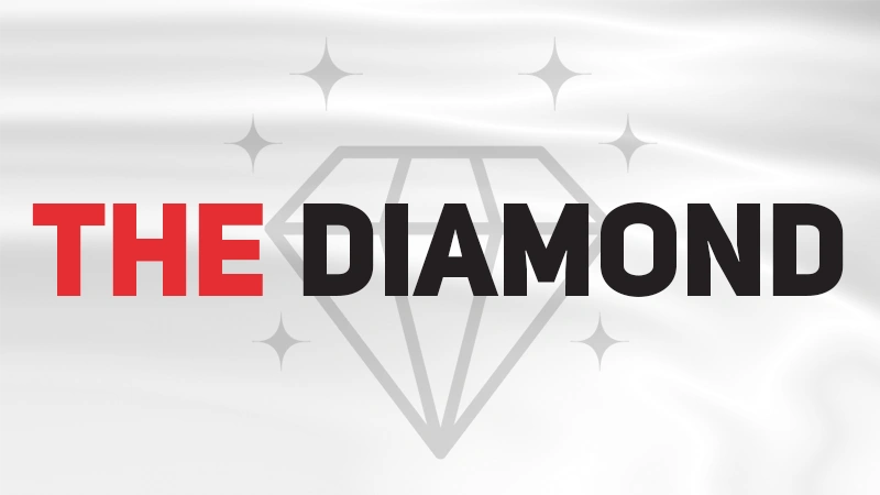 The Diamond | Big Brother Inc. Wiki | Fandom